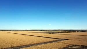 Is Nebraska a Good Place to Live? (10 Pros and Cons) - Dividends Diversify